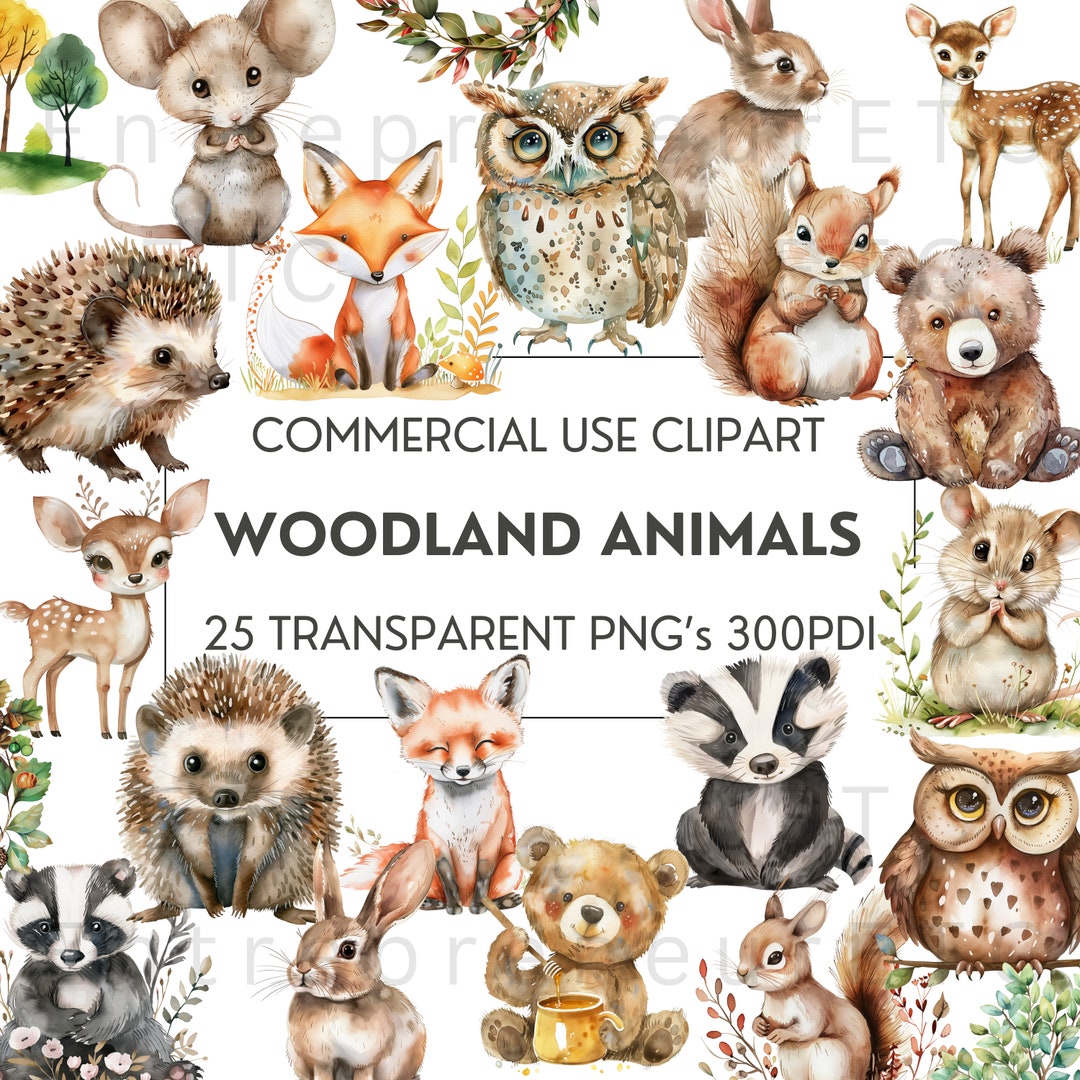 Woodland Animals Watercolor Clipart, 25 PNG Clip Art Bundle, Fox ...
