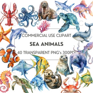 Sea Animals Clipart, 40 PNG Watercolor Ocean Creatures Images ...