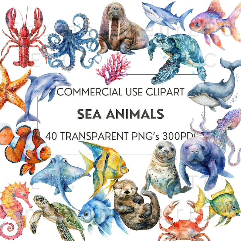Sea Animals Clipart, 40 PNG Watercolor Ocean Creatures Images ...