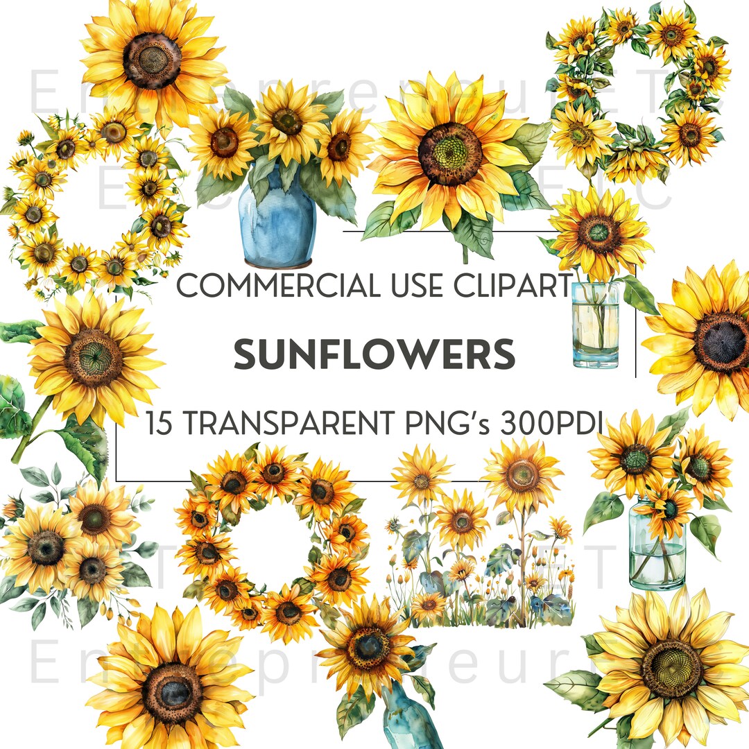 Sunflower Clipart, 15 Watercolor Sunflower Pngs, Summer Clip Art ...