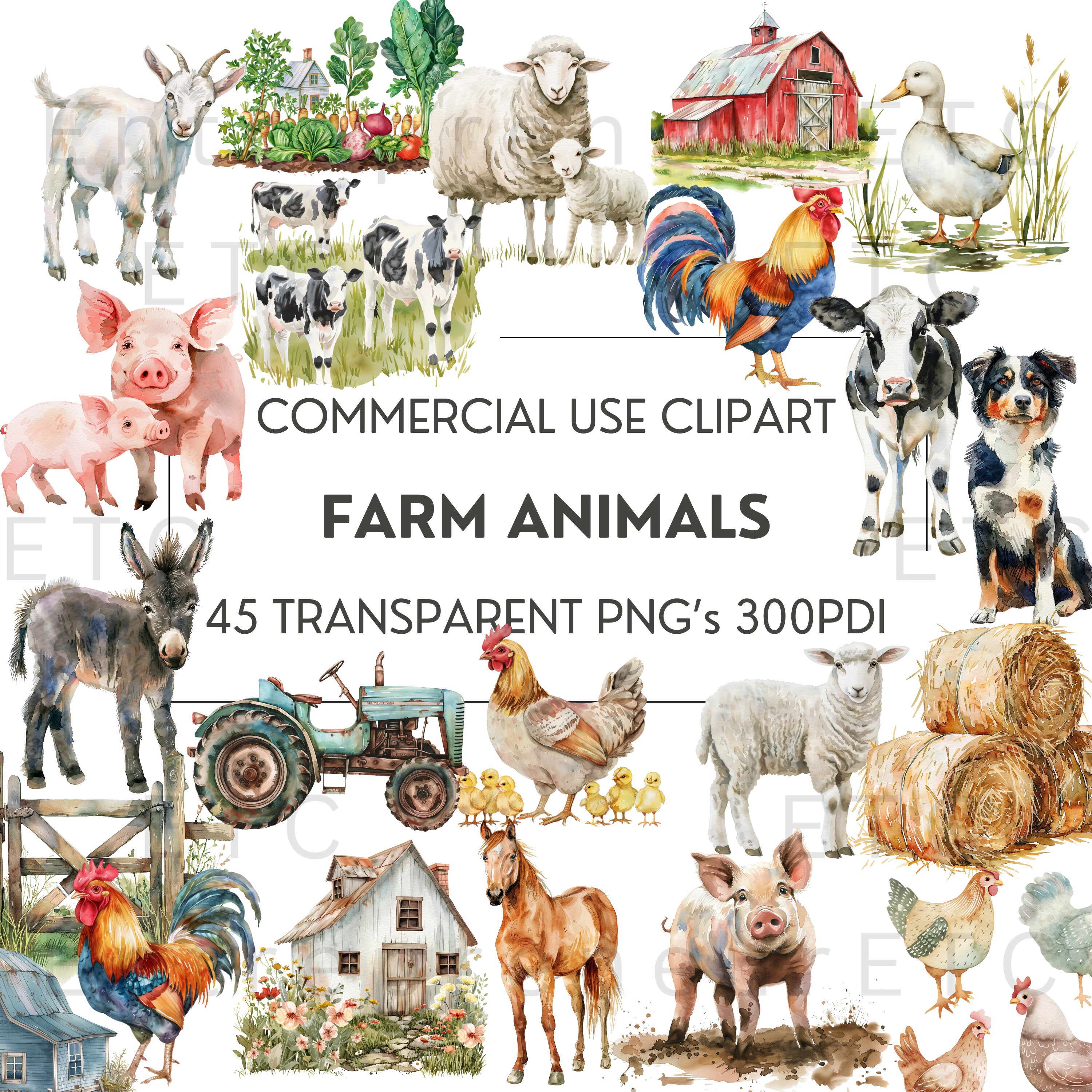 Farm Animals Watercolor Clipart, 45 PNG Clip Art Bundle, Cows, Sheep ...