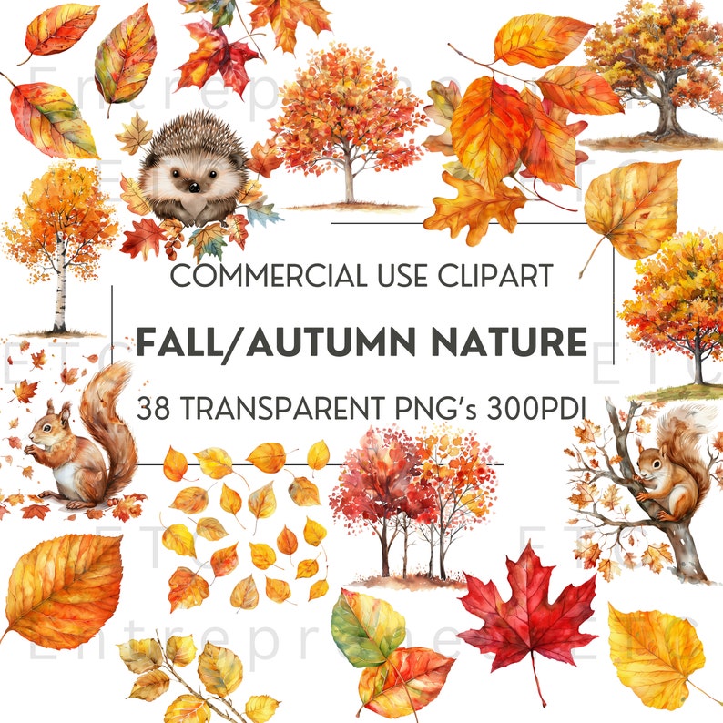 Fall Watercolor Clipart, 38 PNG Clip Art, Autumn Leaves & Trees ...