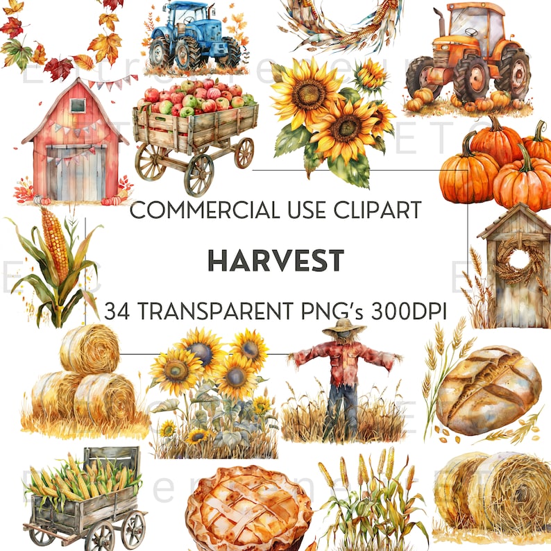 Harvest Watercolor Clipart, 34 PNG Clip Art, Fall Autumn, Tractors ...
