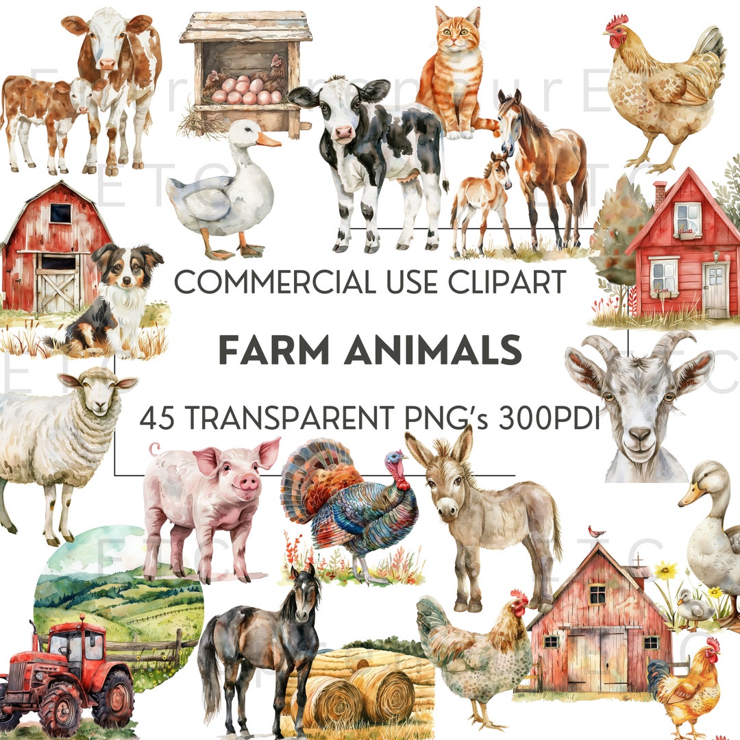 Farm Animals Watercolor Clipart, 45 PNG Clip Art Bundle, Cows, Sheep ...