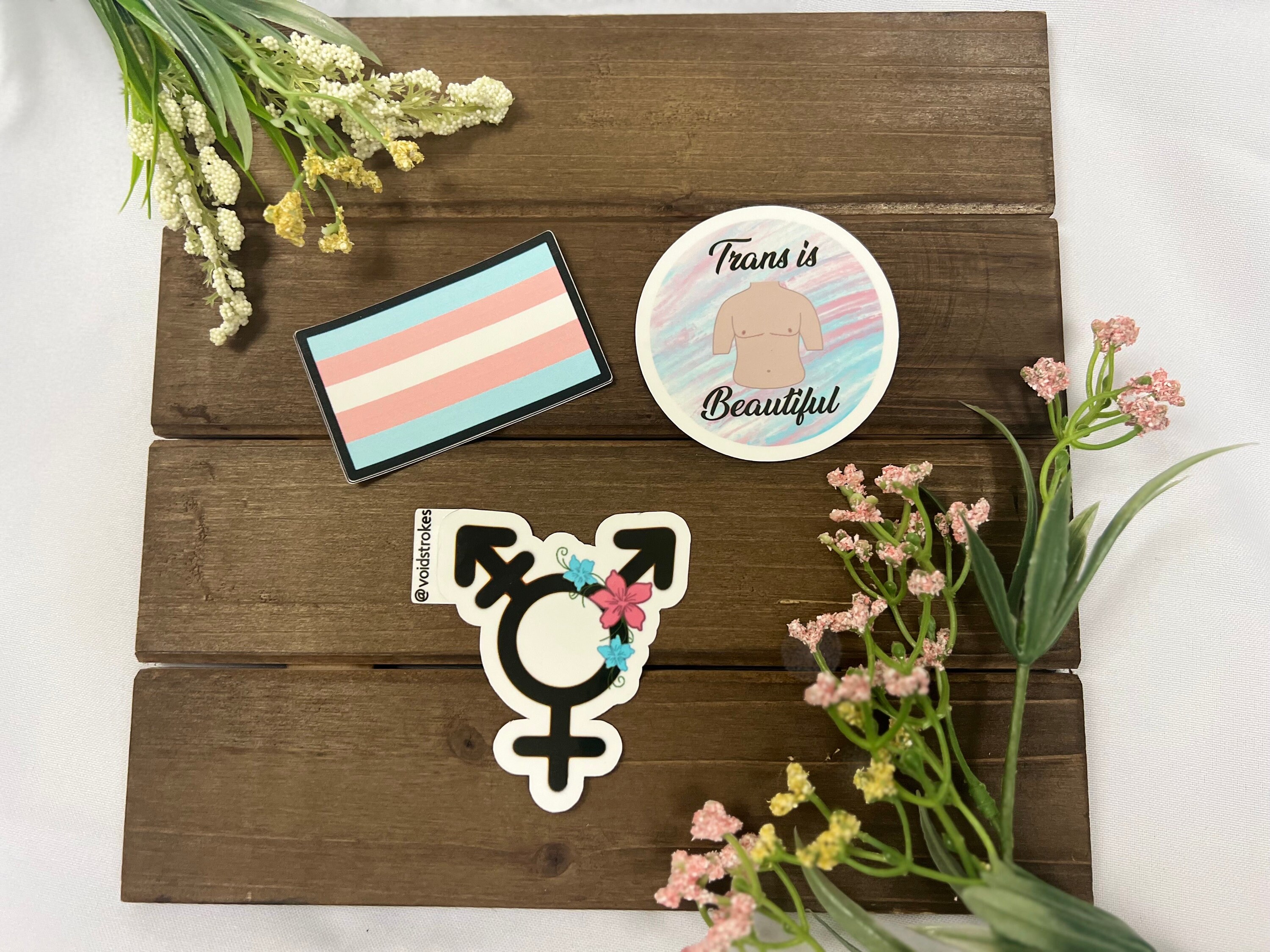 Transgender 3 Pack Sticker Set // Top Surgery Scars // Trans is ...