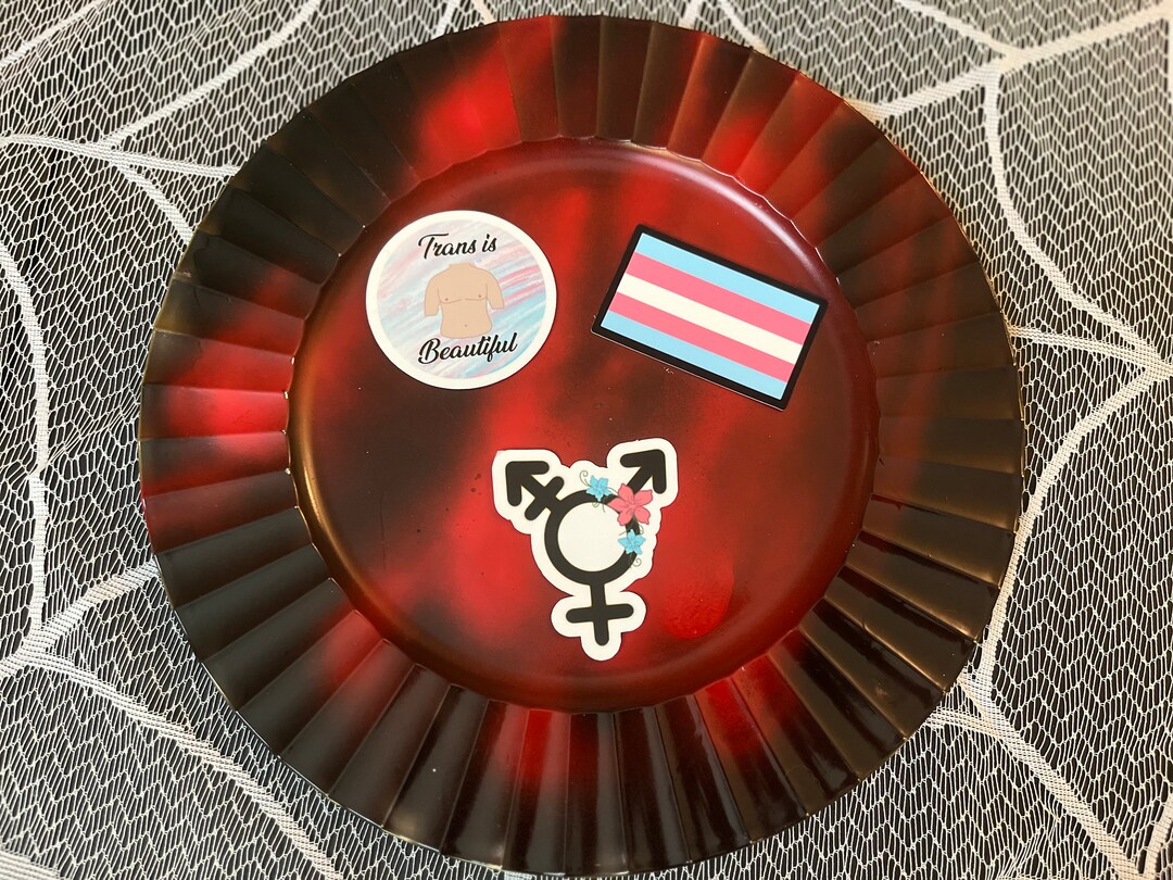 Transgender 3 Pack Sticker Set // Top Surgery Scars // Trans is ...