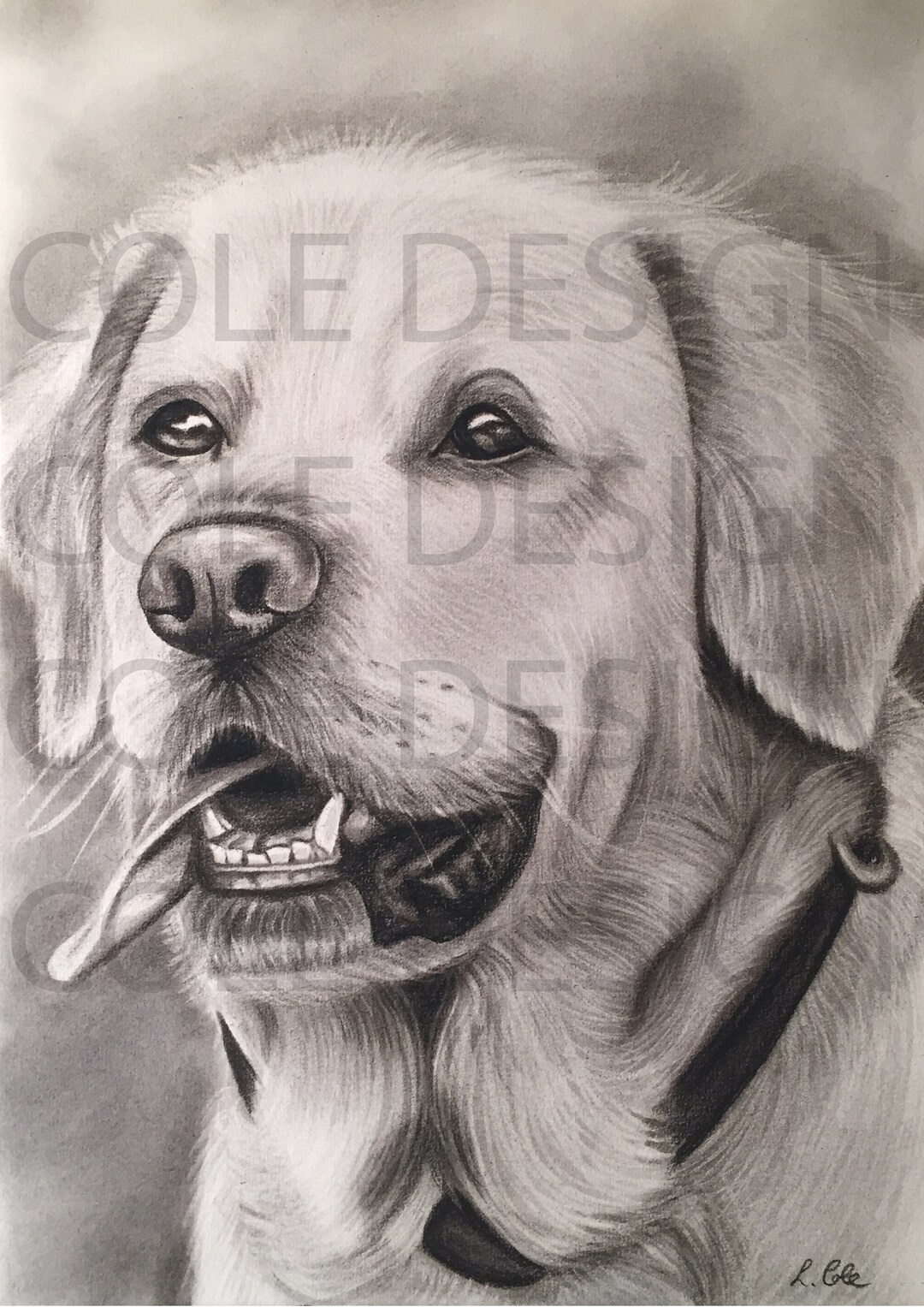 Charcoal Pencil Drawing of a Labrador - Printable - Digital File - Etsy