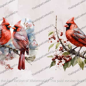 Red Cardinal SVG PNG Collection | Watercolor Red Cardinal Clipart ...