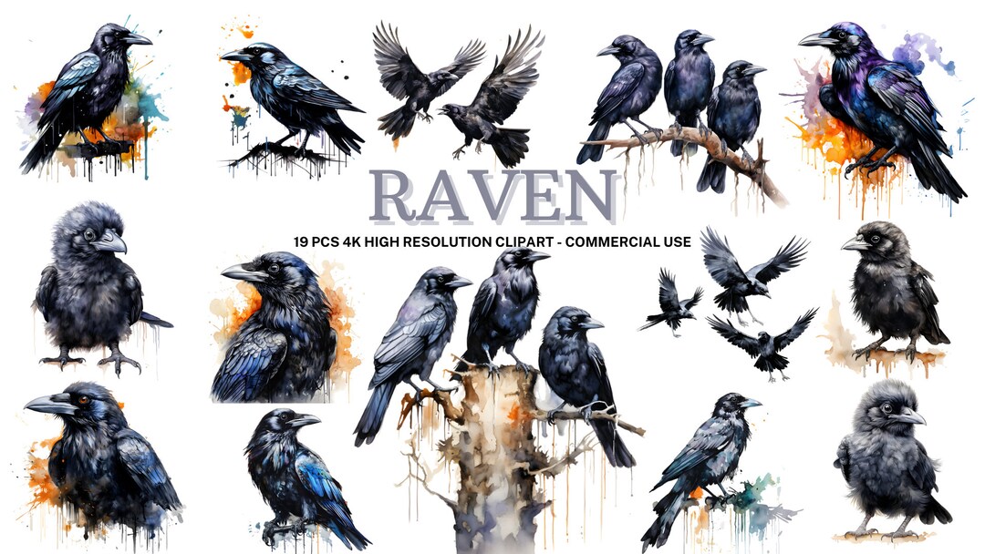 Raven Clipart Set, 19 Watercolor Raven, Collage Images, Bird Clipart ...