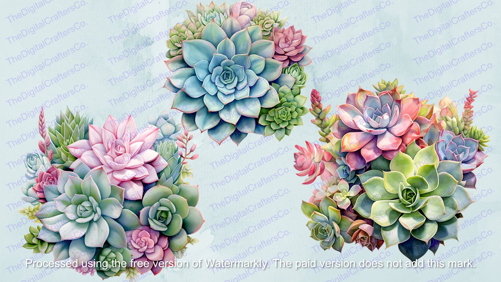 Succulent SVG Collection Watercolor Succulent Clipart - Etsy