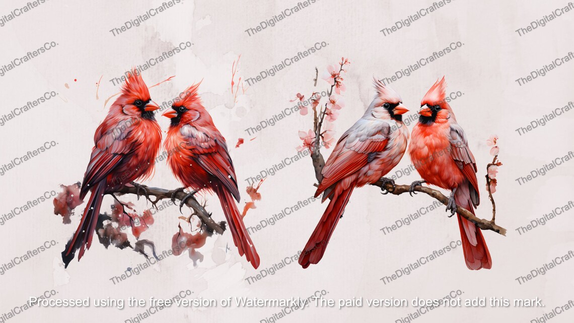 Red Cardinal SVG PNG Collection Watercolor Red Cardinal Clipart Instant ...