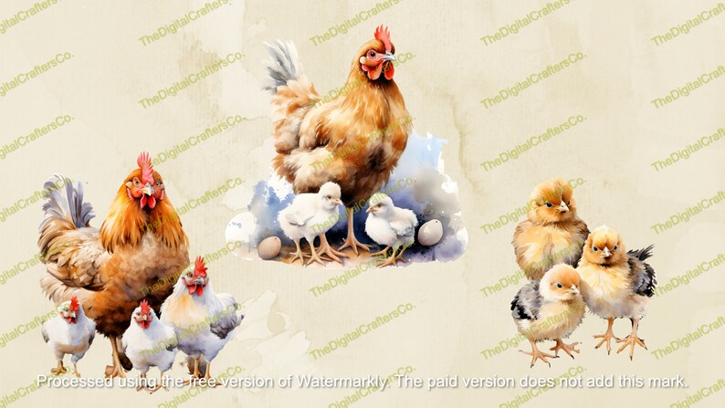 Rooster & Chicken Clipart Set , 20 Rooster and Chicken PNG, Scrapbook ...