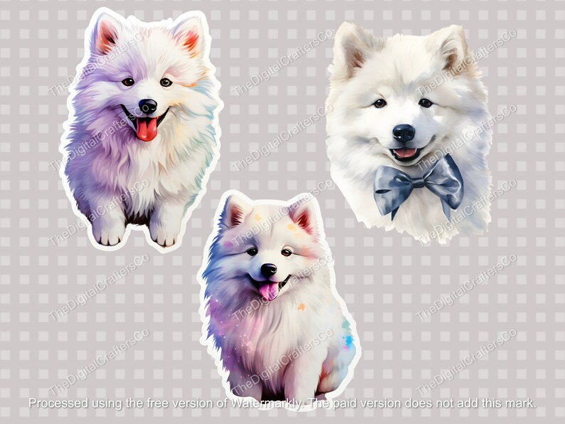 Samoyed Dog Clipart Set: 20 Watercolor PNG Images (digital Download) - Etsy