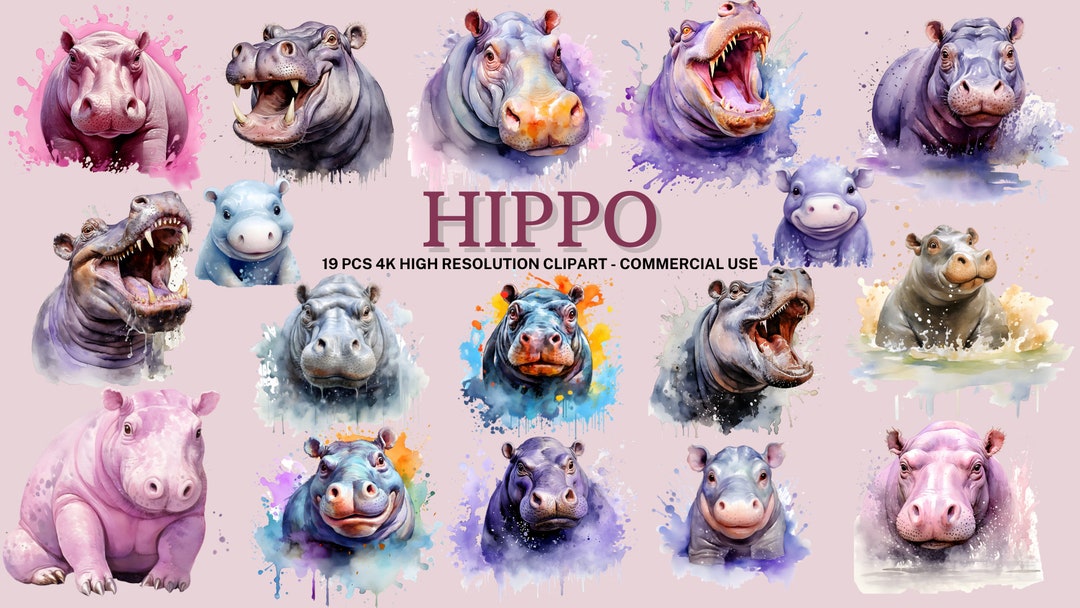 Hippo Clipart Set, 19 Watercolor Hippo PNG, Cute Hippo Clipart, Junk ...