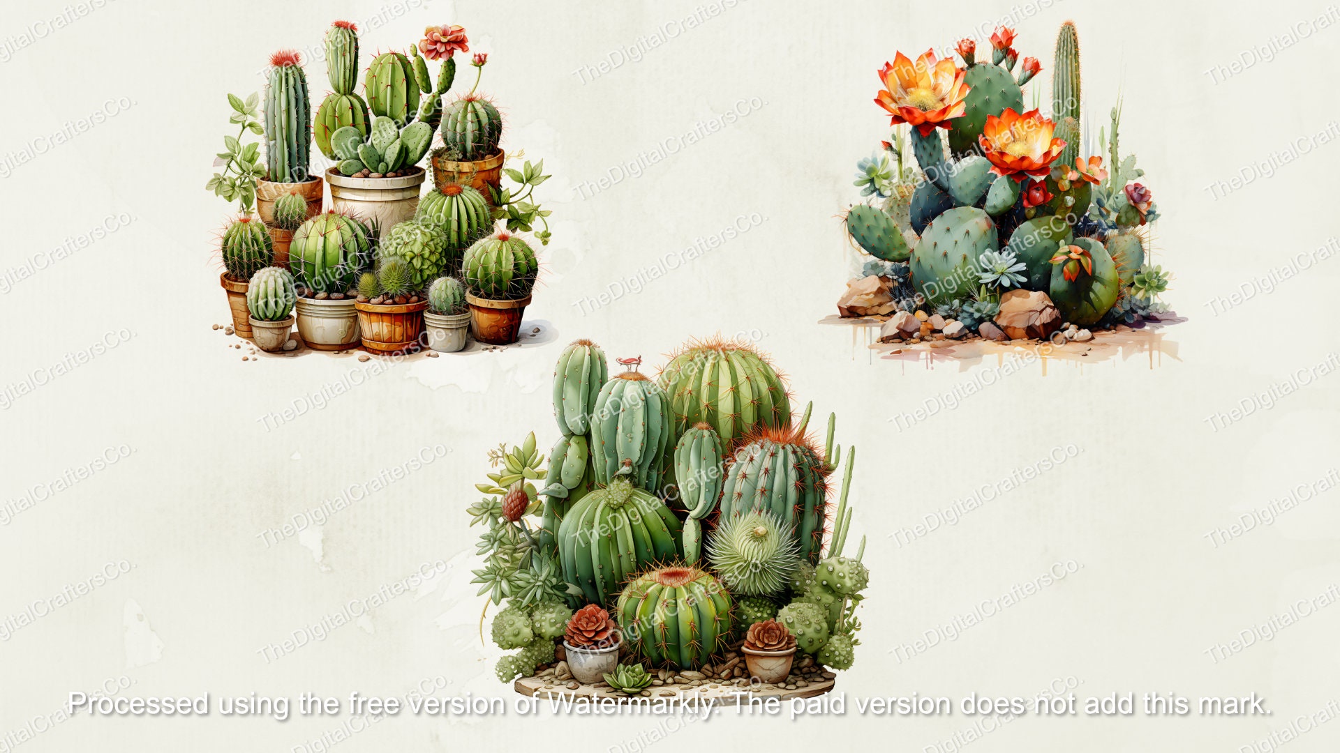 Cactus SVG PNG Collection Watercolor Cactus Clipart - Etsy