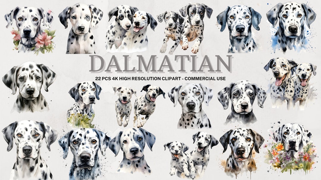 Dalmatian Clipart Set, 22 Watercolor Dalmatian Bundle, Watercolor Dog ...
