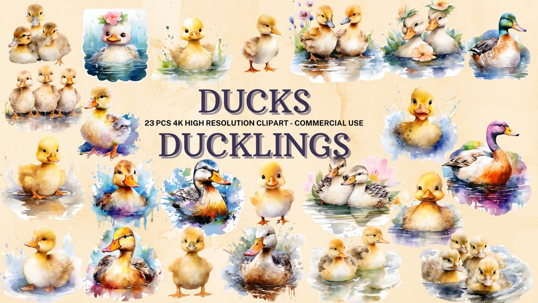 Entchen Aquarell Clipart: Ente SVG PNG Bundle (digitaler Download ...