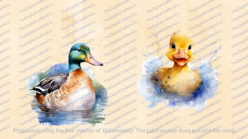 Enten SVG PNG Sammlung Entenküken Clipart Enten-Bundle Ente Aufkleber ...