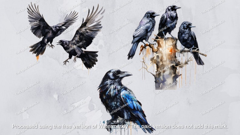 Raven Clipart Set, 19 Watercolor Raven, Collage Images, Bird Clipart ...