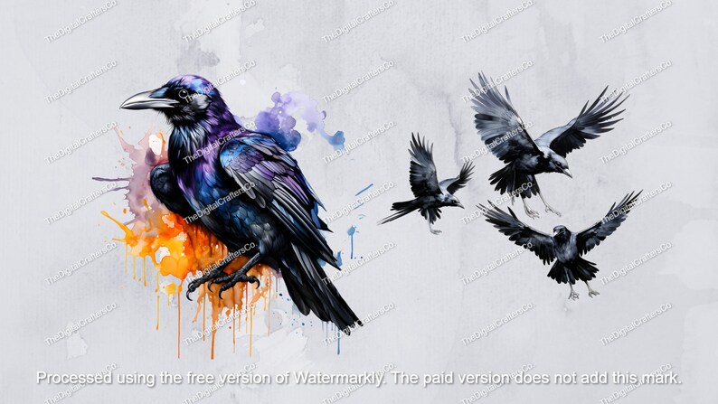 Raven Clipart Set, 19 Watercolor Raven, Collage Images, Bird Clipart ...