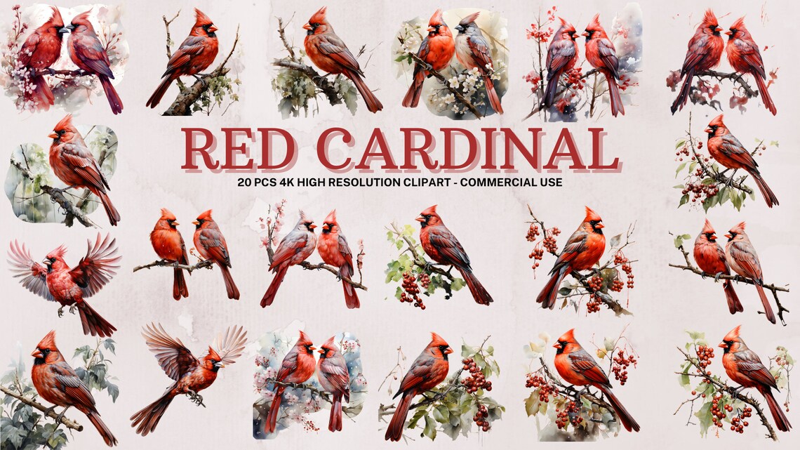 Red Cardinal SVG PNG Collection Watercolor Red Cardinal Clipart Instant ...