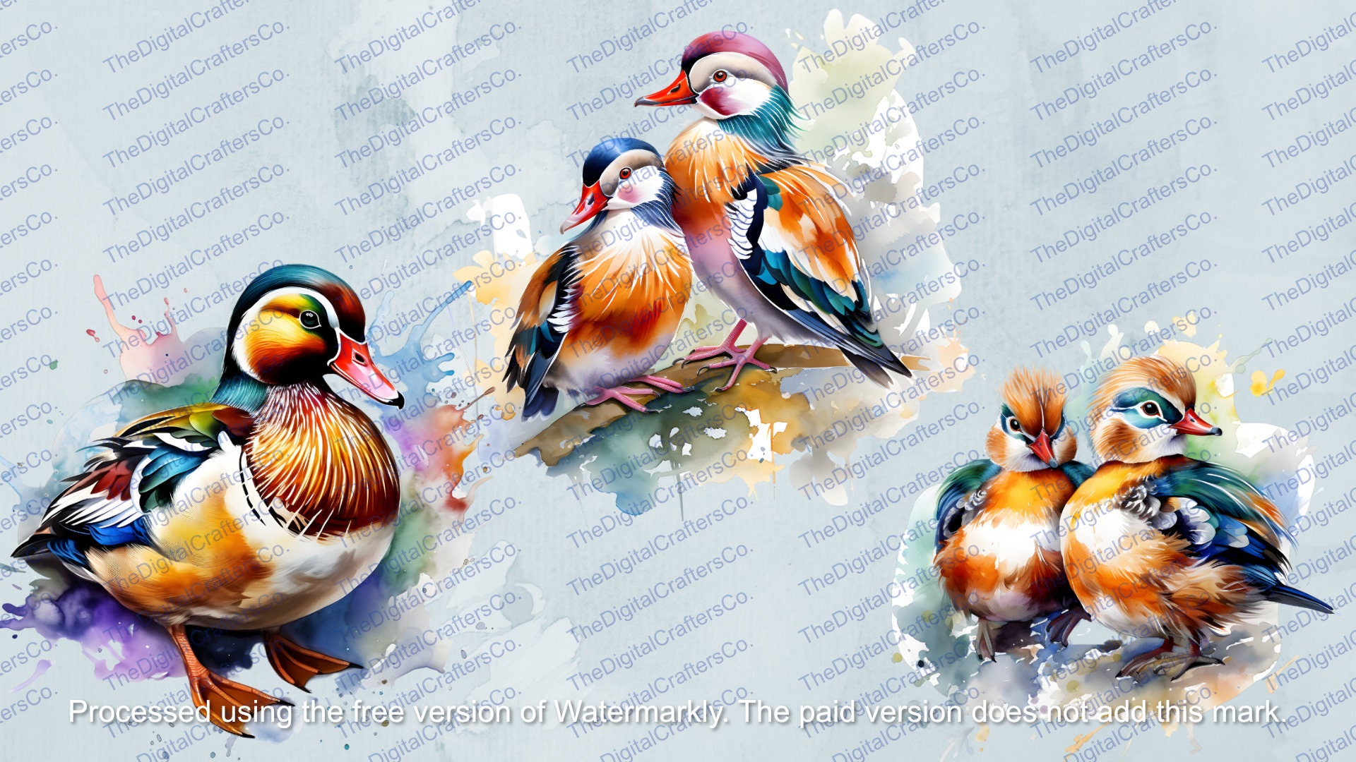 Mandarin Duck PNG SVG Collection Mandarin Duck Clipart Instant Download ...