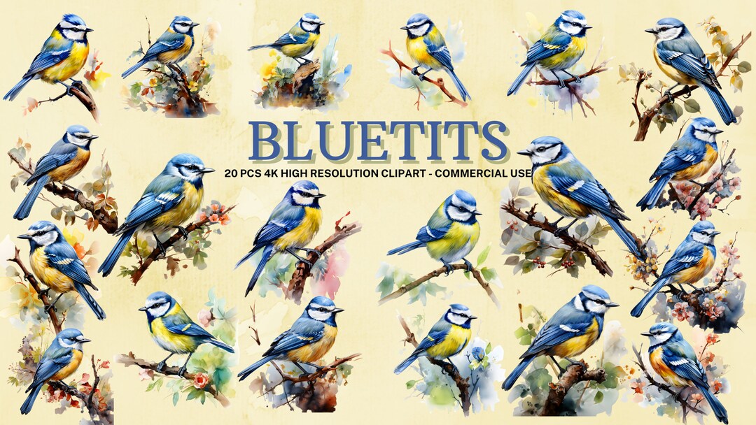 Blue Tit Bird Clipart Set, 20 Watercolor Blue Tit, Printable Watercolor ...