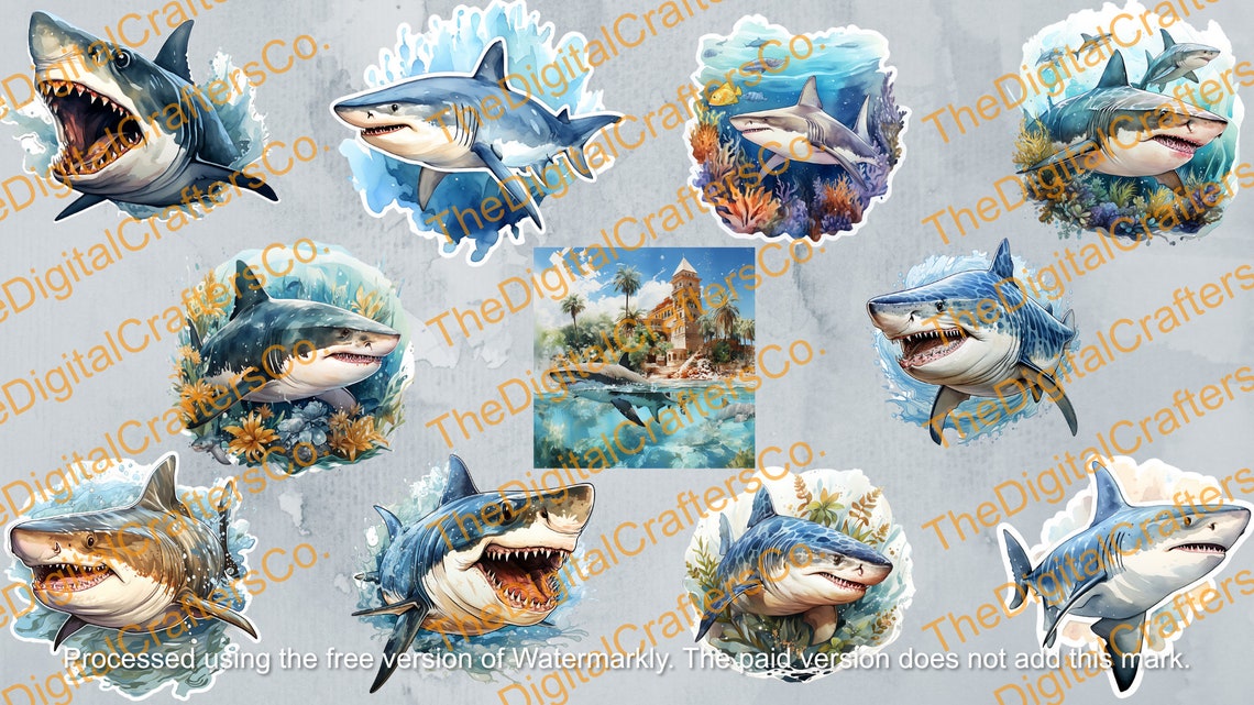 Shark SVG Collection : Shark Frenzy Shark Clipart Shark PNG Shark ...