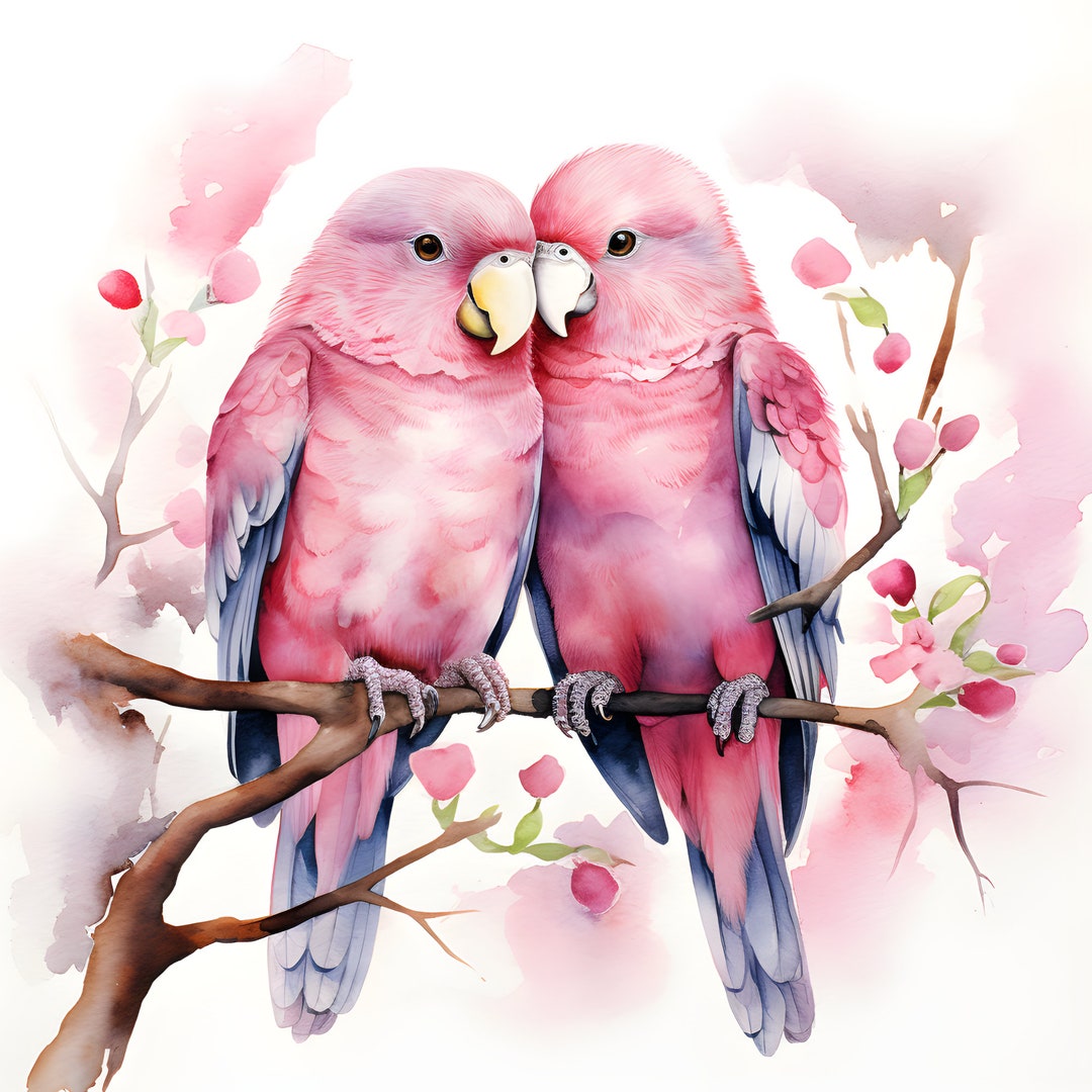 20 Watercolor Lovebirds High Quality PNG, Nursery Art, White Background ...