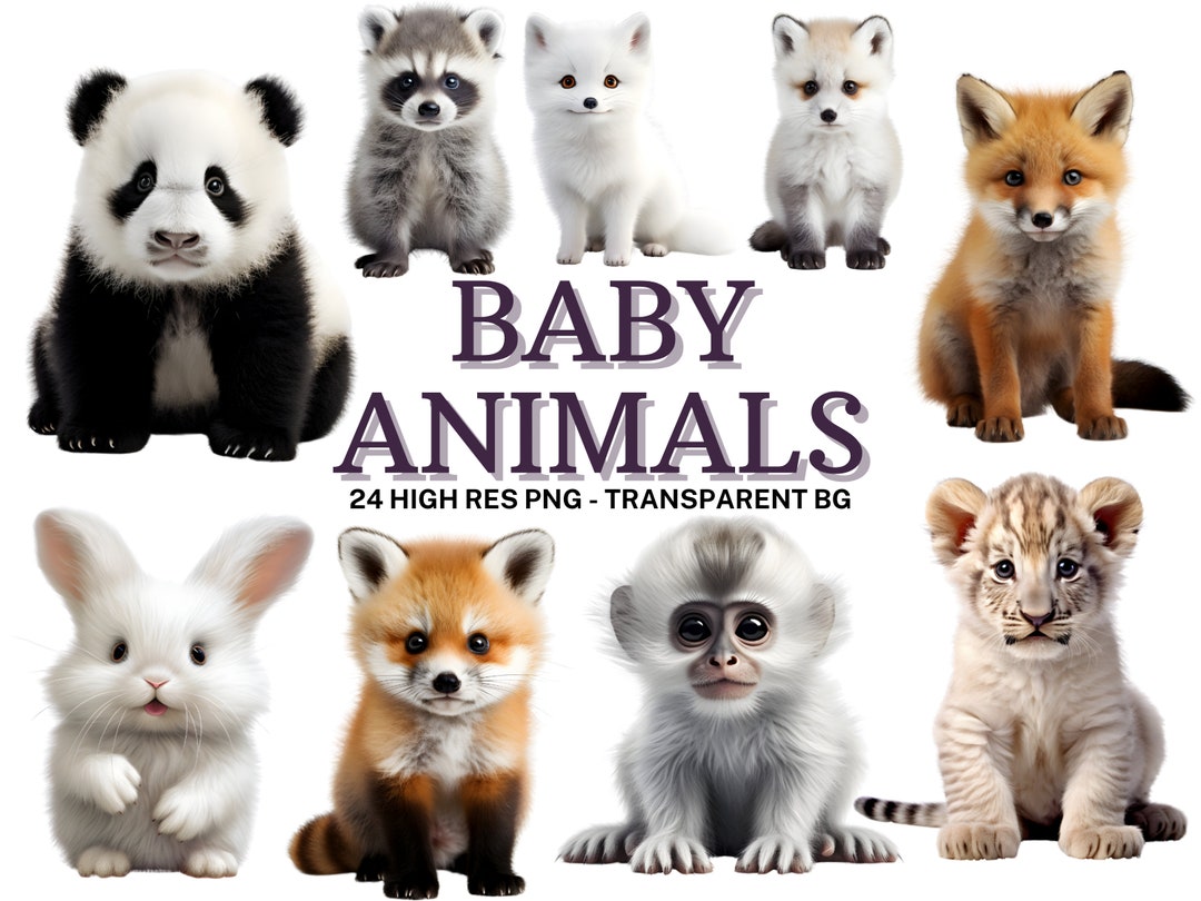 Baby Animals Clipart Set, 24 Cute Baby Animals PNG, Watercolor Baby ...