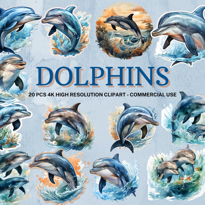 Dolphin Sticker - Etsy