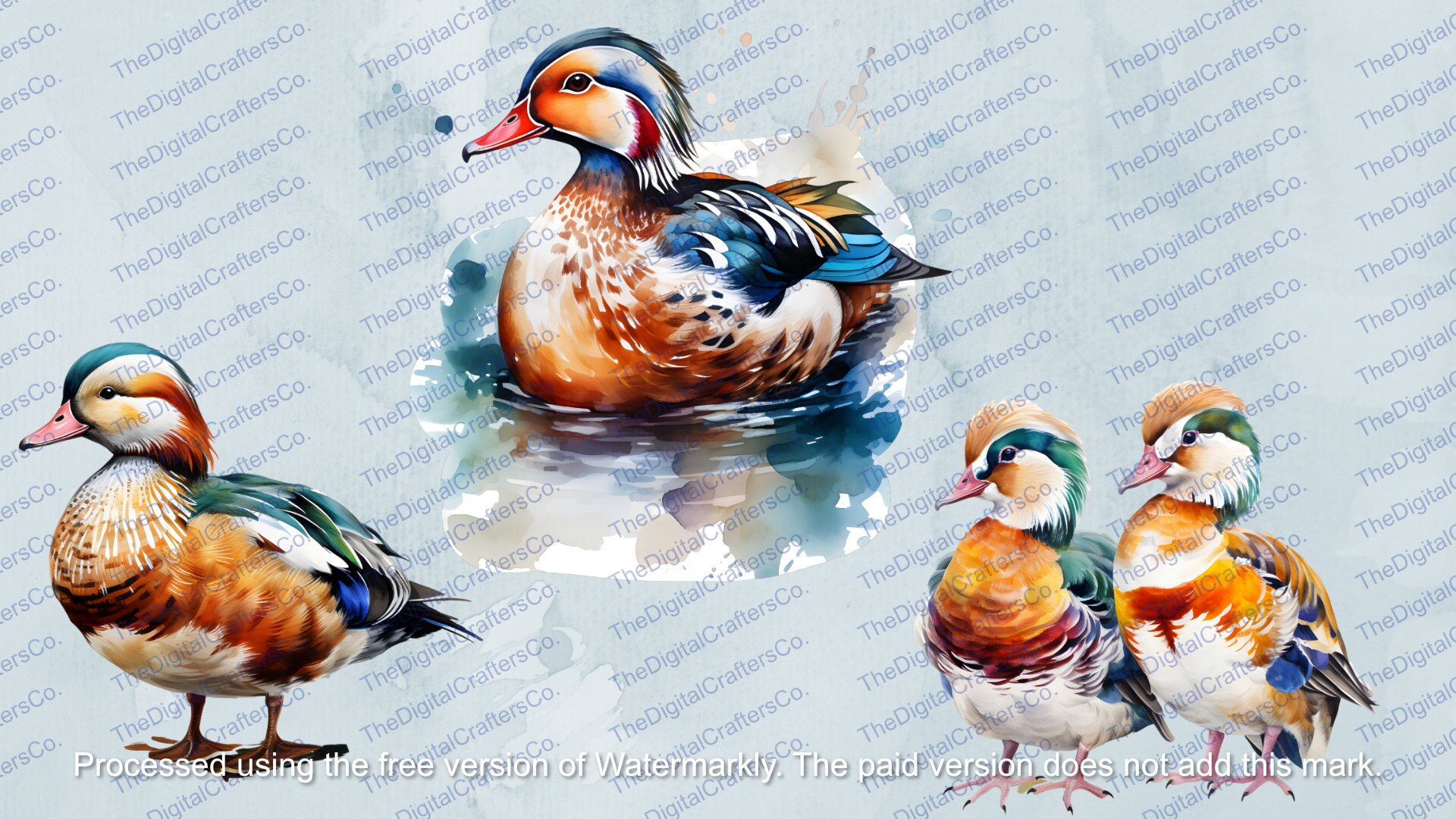 Mandarin Duck PNG SVG Collection Mandarin Duck Clipart Instant Download ...
