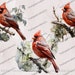 Red Cardinal SVG PNG Collection Watercolor Red Cardinal Clipart Instant ...