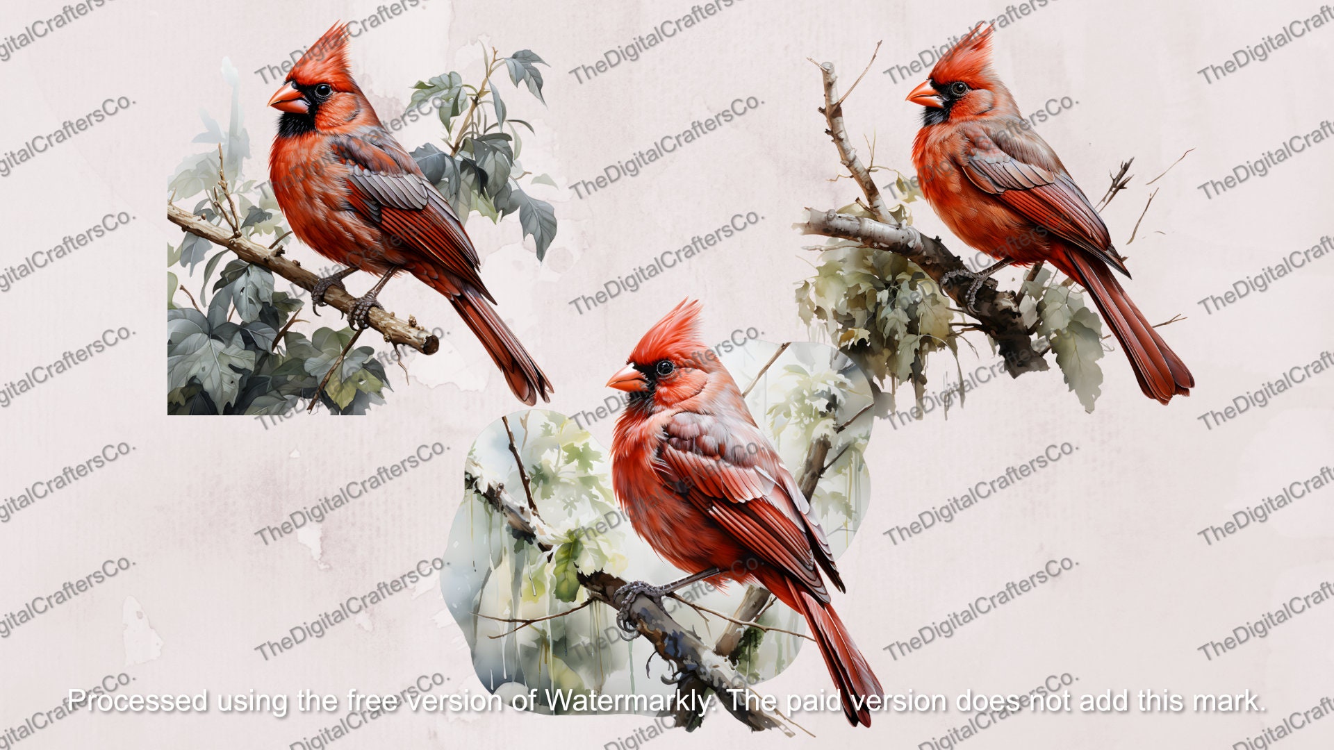 Red Cardinal SVG PNG Collection | Watercolor Red Cardinal Clipart ...