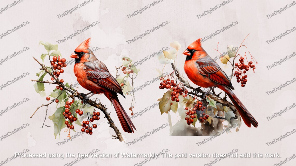 Red Cardinal SVG PNG Collection Watercolor Red Cardinal Clipart Instant ...