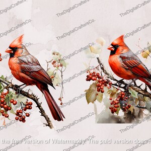 Red Cardinal SVG PNG Collection | Watercolor Red Cardinal Clipart ...