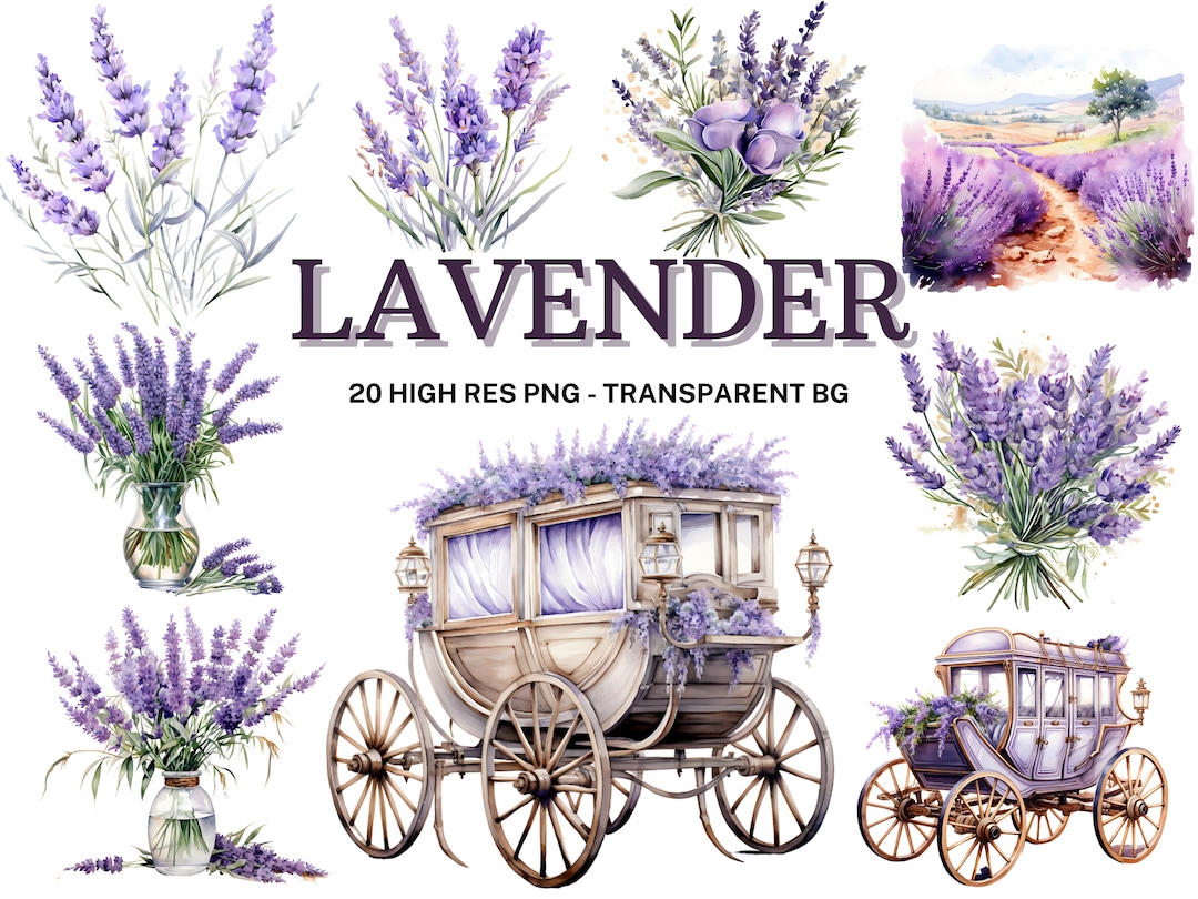 Watercolor Lavender Clipart Set, 20 Watercolor Lavender Bundle ...