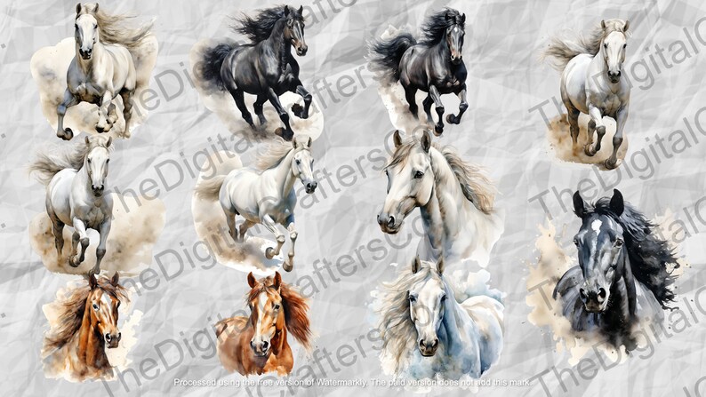 Majestic Horse Clipart Set, Watercolor Horse Clipart , Commercial Use ...