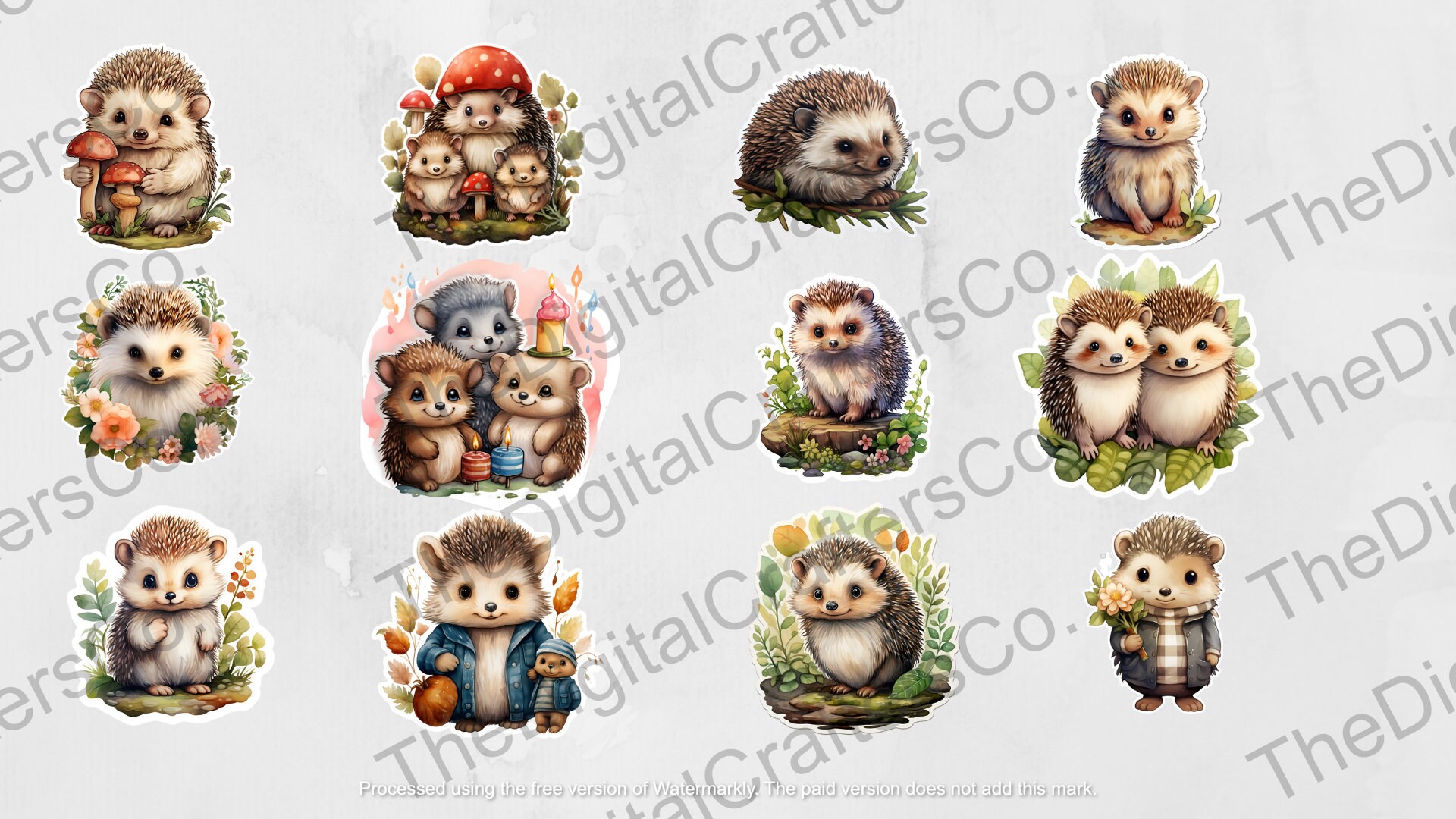 Hedgehog SVG PNG Collection | Watercolor Hedgehog Clipart | Hedgehog ...