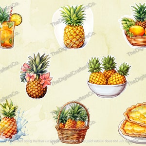 Watercolor Pineapple Clipart: Tropical SVG PNG Collection (digital ...