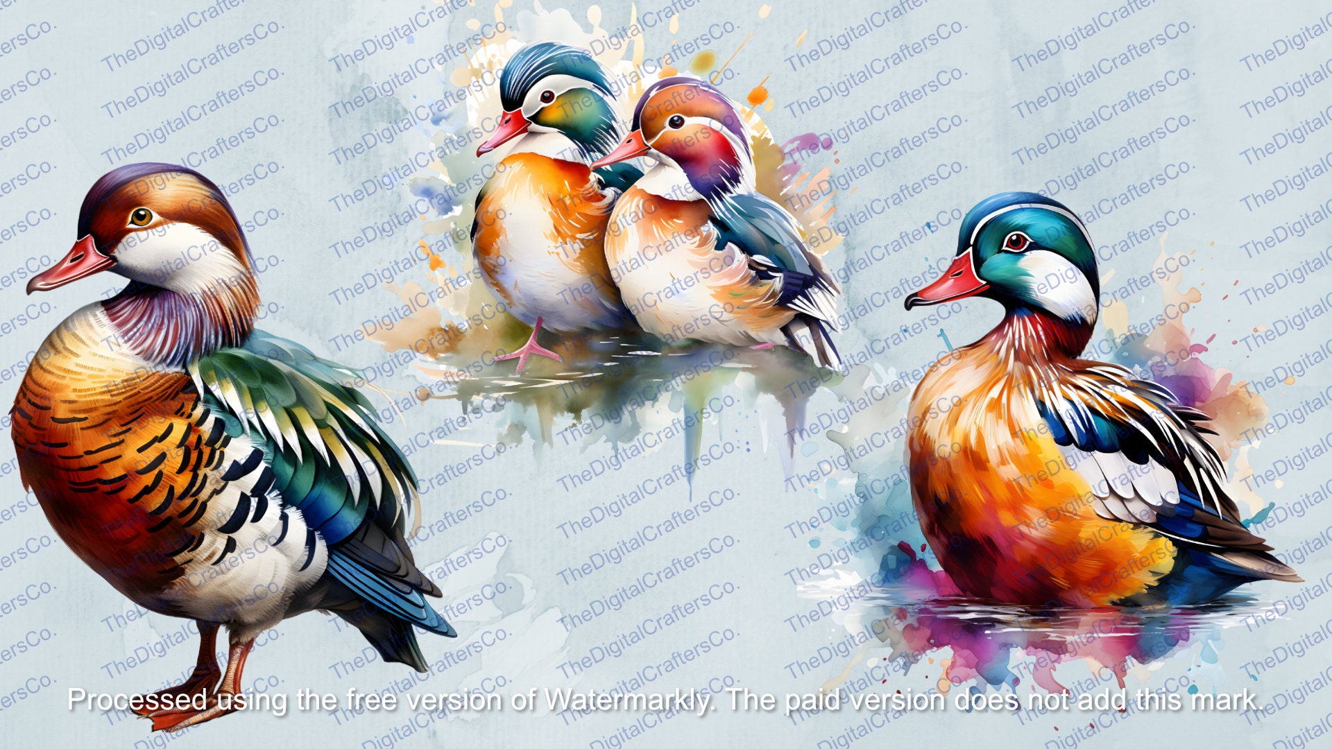 Mandarin Duck PNG SVG Collection Mandarin Duck Clipart Instant Download ...