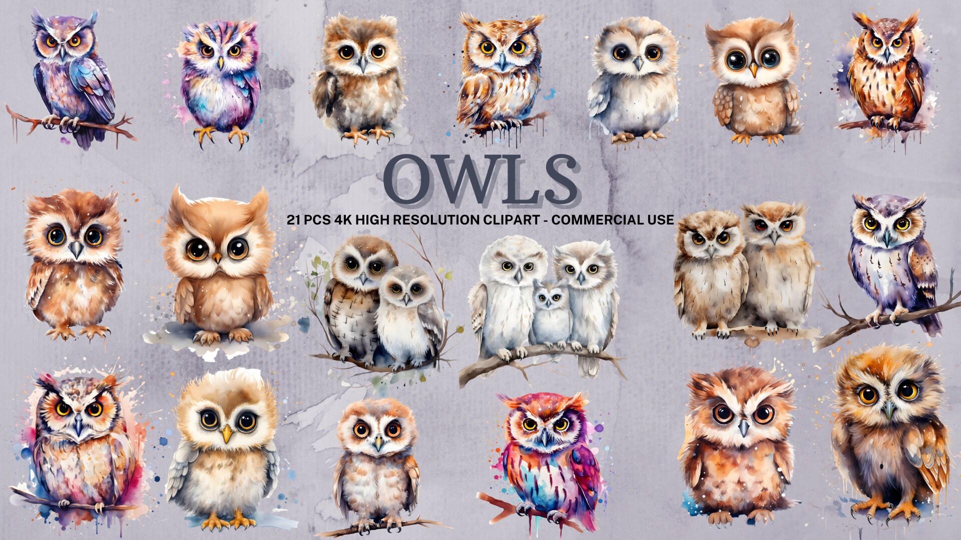 Watercolor Owl Clipart: 21 PNG Images (digital Download) - Etsy