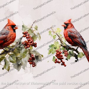 Red Cardinal SVG PNG Collection | Watercolor Red Cardinal Clipart ...