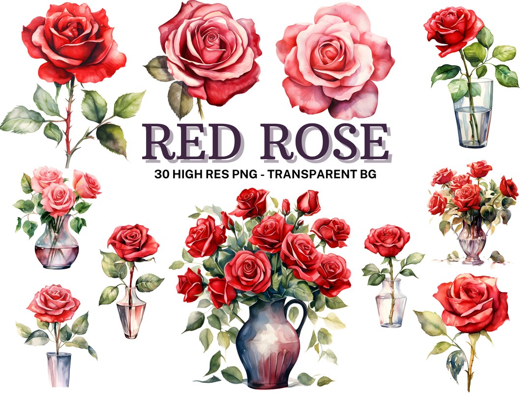 Red Rose Clipart Set, 30 Watercolor Red Rose Bundle, Watercolor Floral ...