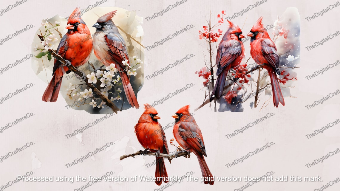 Red Cardinal SVG PNG Collection Watercolor Red Cardinal Clipart Instant ...