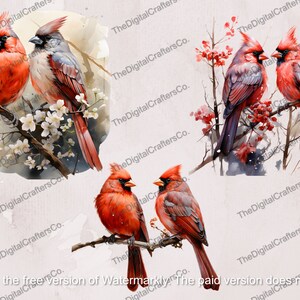Red Cardinal SVG PNG Collection | Watercolor Red Cardinal Clipart ...