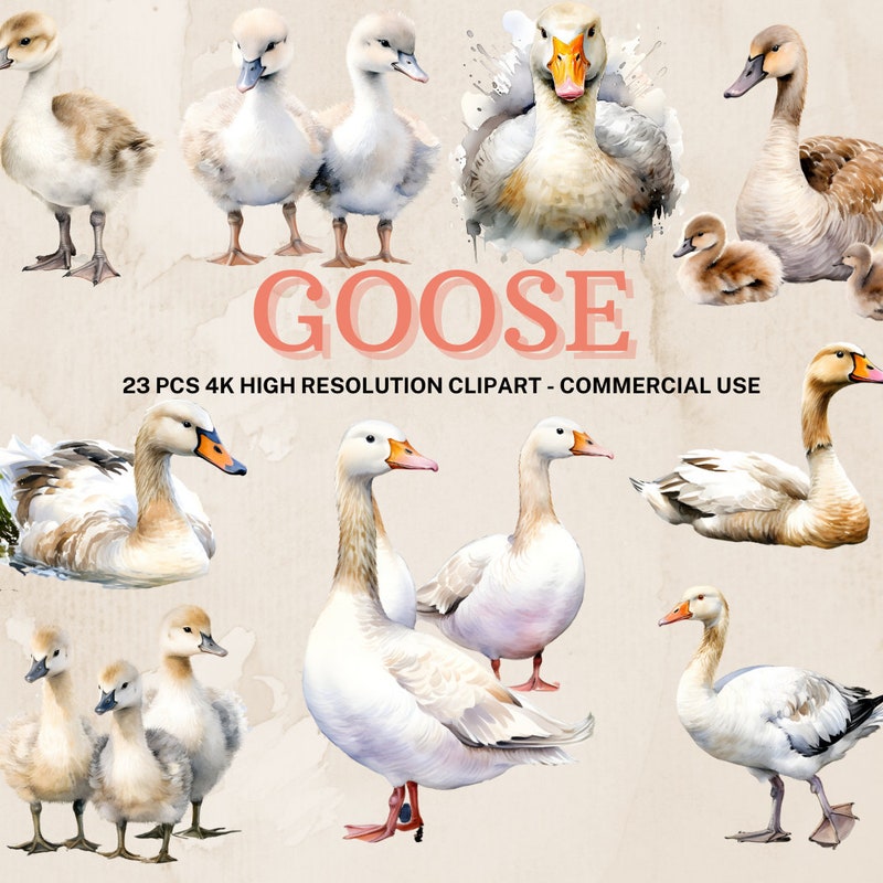 Watercolor Geese - Etsy