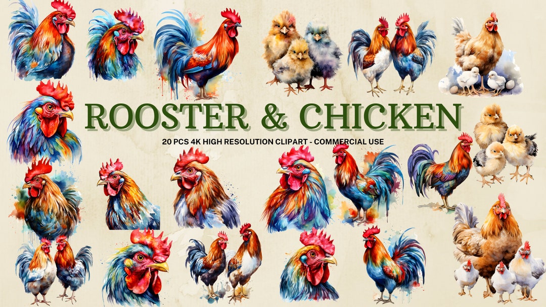 Rooster & Chicken Clipart Set , 20 Rooster and Chicken PNG, Scrapbook ...