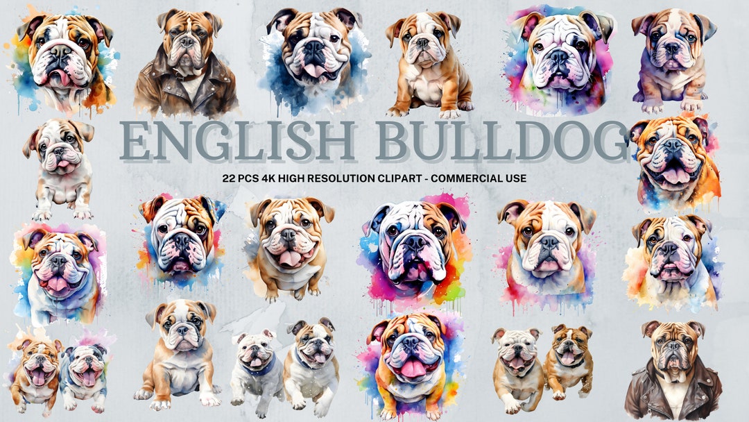 English Bulldog SVG PNG Collection | Watercolor English Bulldog Clipart ...