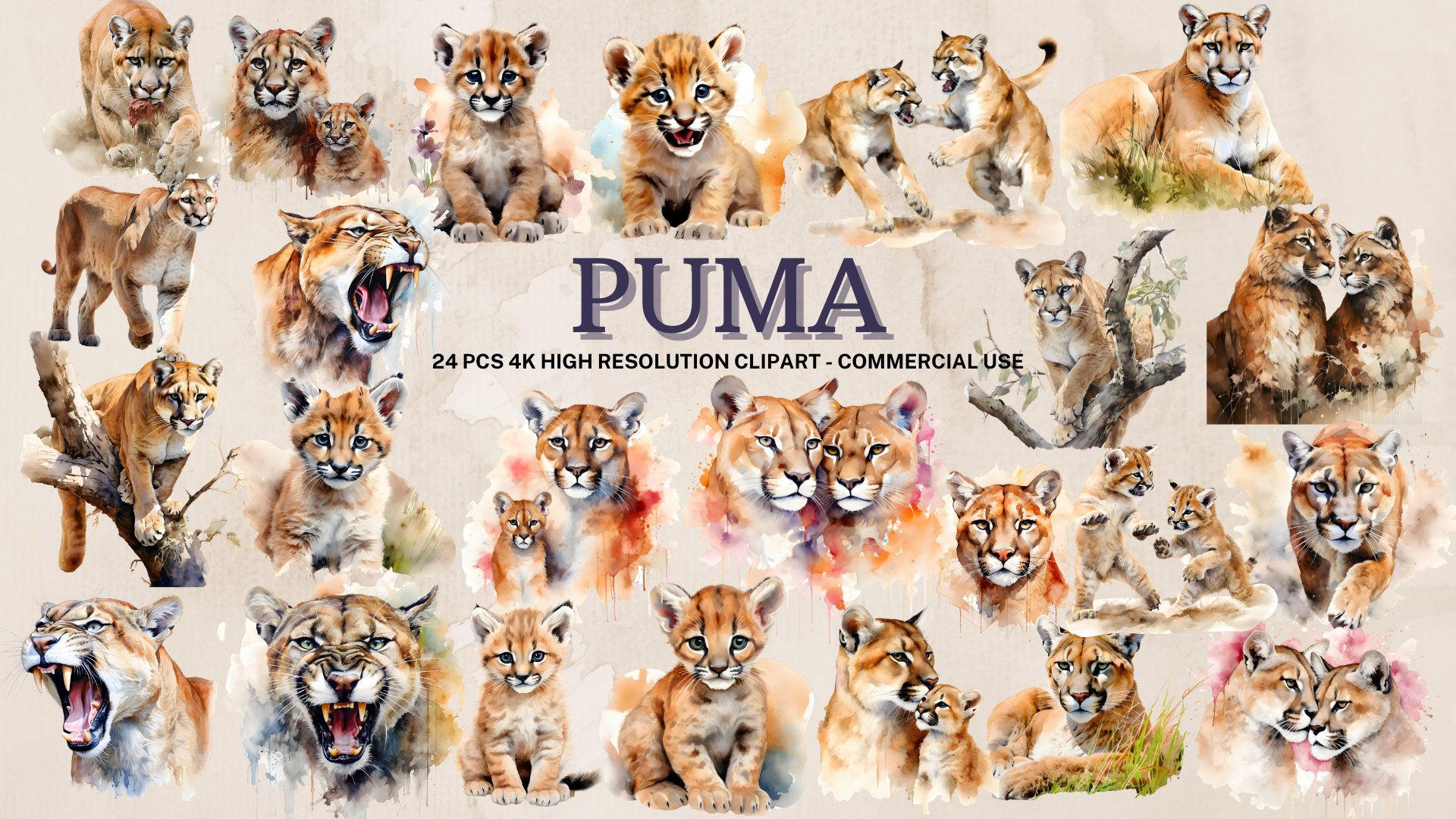 Watercolor Puma Clipart: High-resolution PNG & SVG (digital Download ...